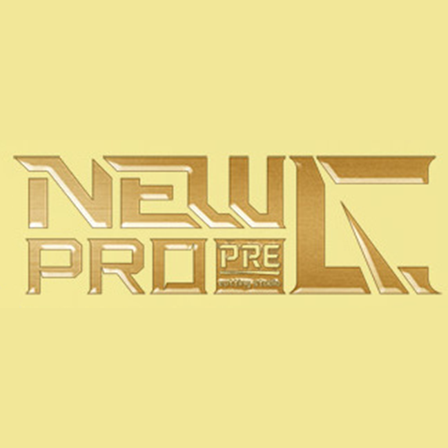 NewC – Light Bringer Enterprise Limited